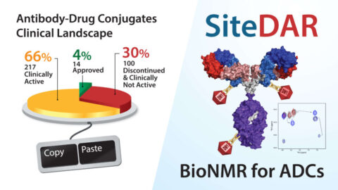 NJBIO India | Leading Contract Research Organization